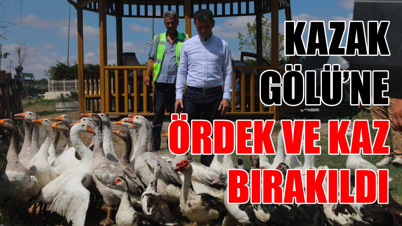 Kazak Gölü’ne ördek ve kaz bırakıldı - Kapaklı Gazetesi